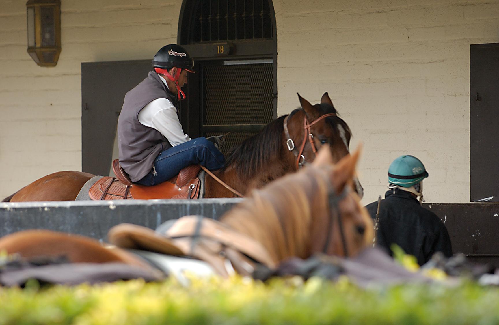 BidxSell - Premier Horse Auction Platform